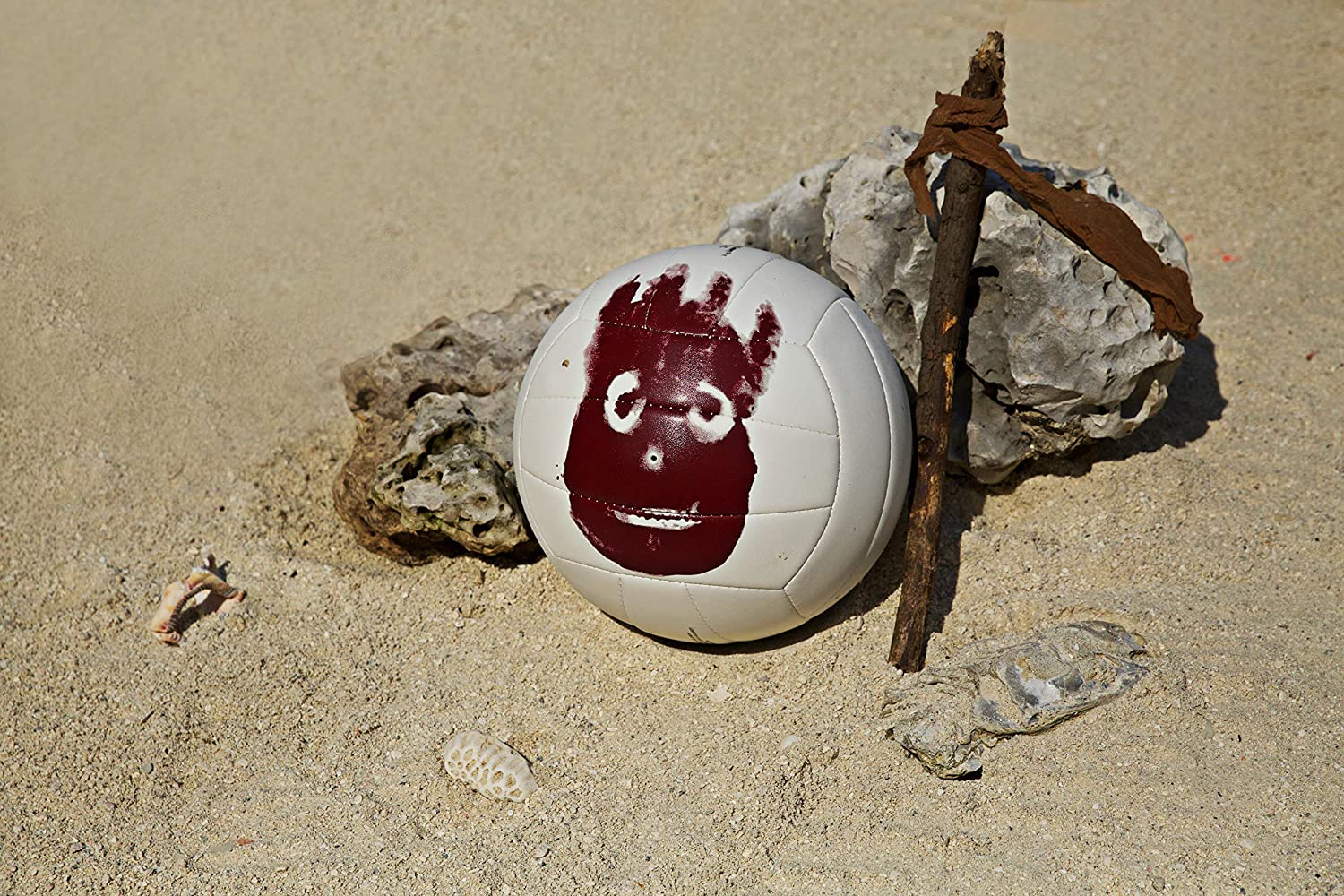 Balón de Voleibol Wilson AVP Castaway (NO.5) - Wilson